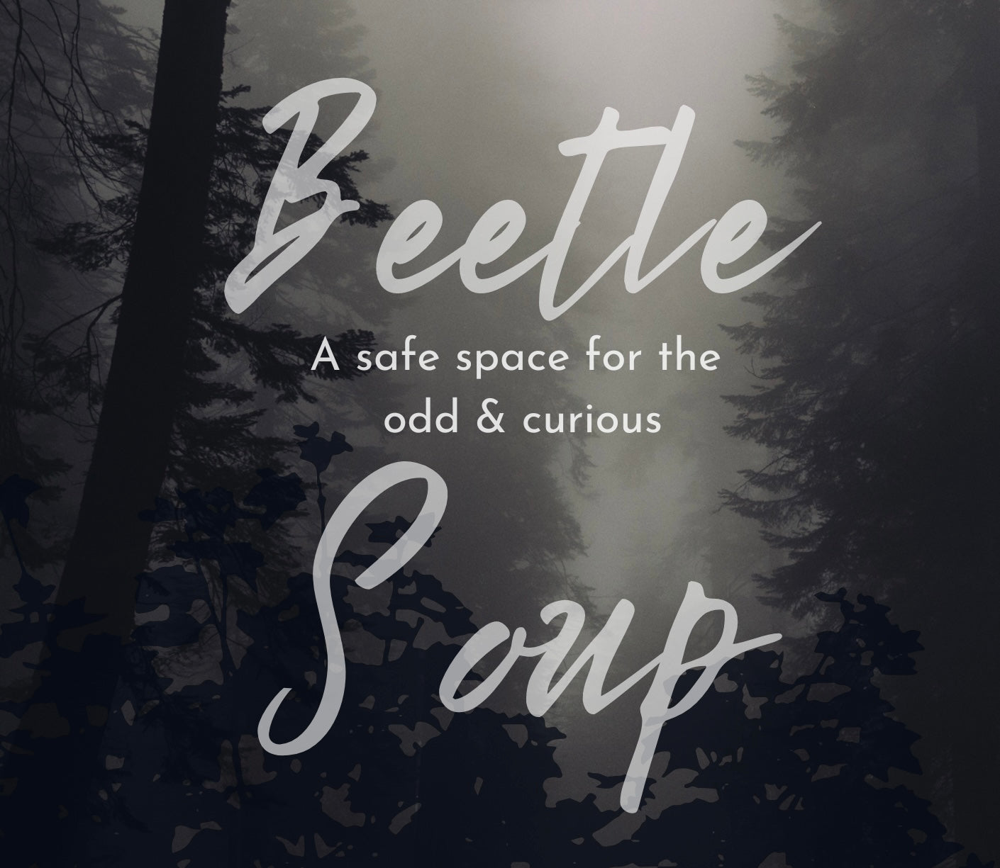 A safe space for the Odd & Curious! – Beetle Soup